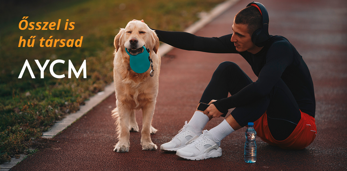 AYCM Magazin | November 2023